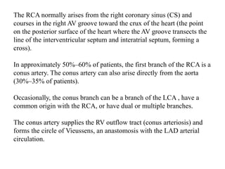 Coronary artery anatomy | PPTX