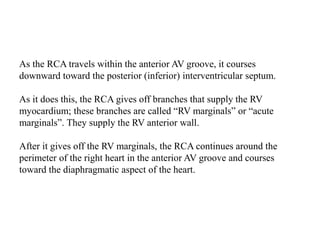 Coronary artery anatomy | PPTX