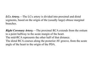 Coronary artery anatomy | PPTX