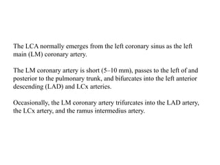Coronary artery anatomy | PPTX