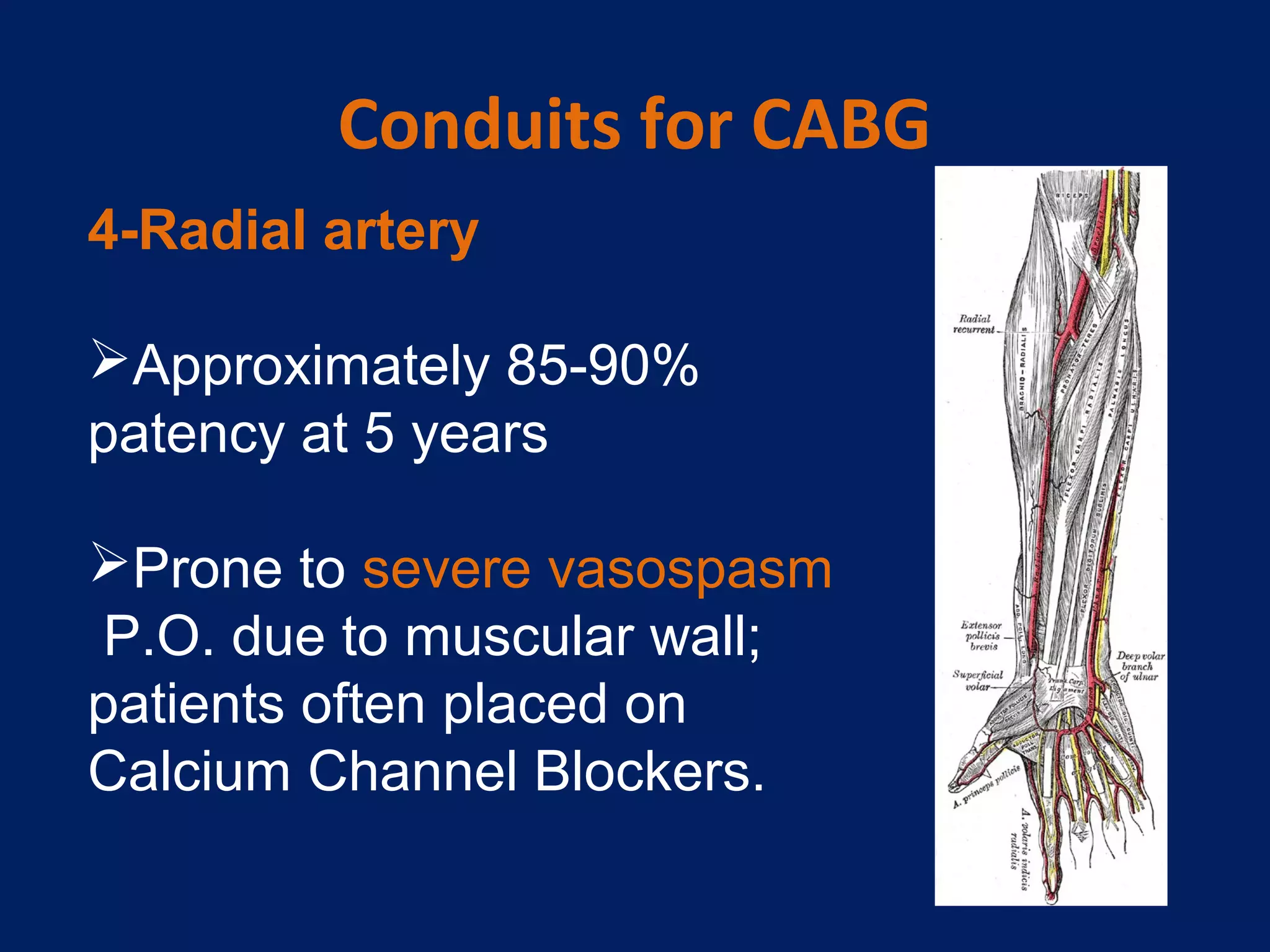 Coronary Artery Bypass Graft (CABG) Surgery | PPT