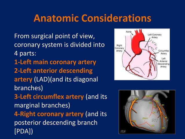 Coronary Artery Bypass Graft (CABG) Surgery | PPT