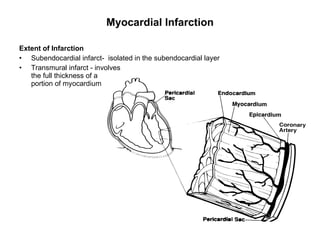 Pathophysiology of Coronary Artery Disease | PPT