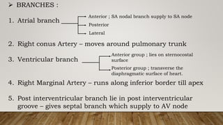 CORONARY ARTERY PPT.pptx hhhlhhhhhhhhhhh | PPT