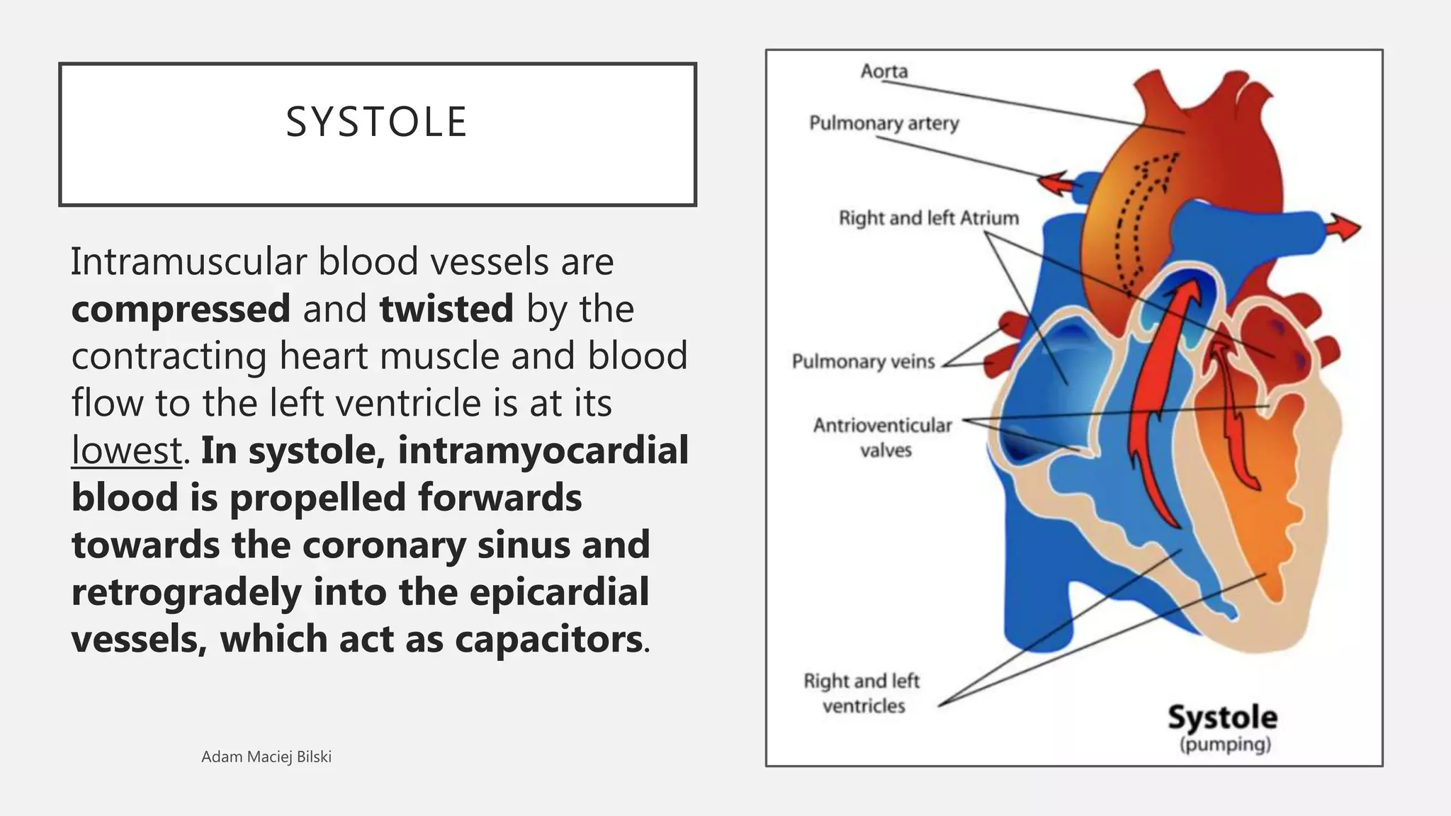 Coronary Blood Flow | PPT