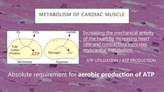 Coronary Blood Flow | PPT
