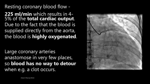 Coronary Blood Flow | PPT