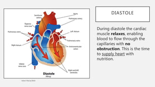 Coronary Blood Flow | PPT