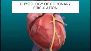 Coronary blood flow | PPT