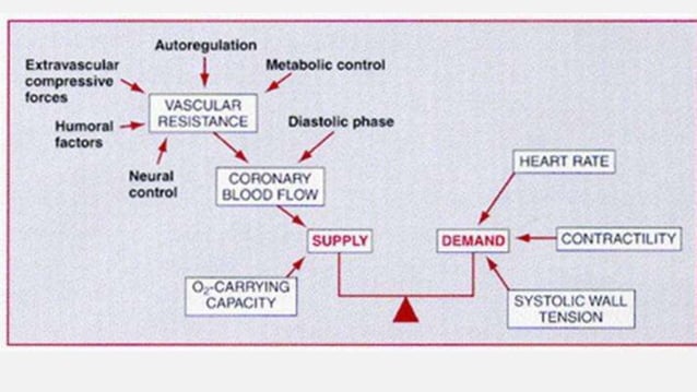 Coronary blood flow | PPT