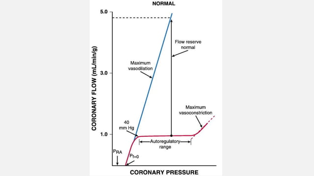 Coronary Blood Flow Ppt