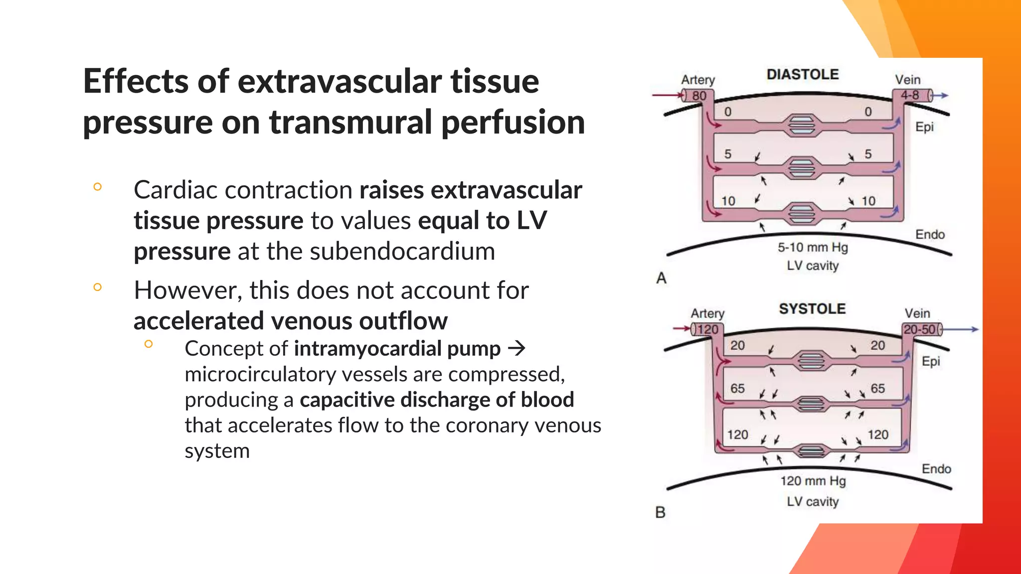 Coronary Blood Flow and Myocardial Ischemia.pptx