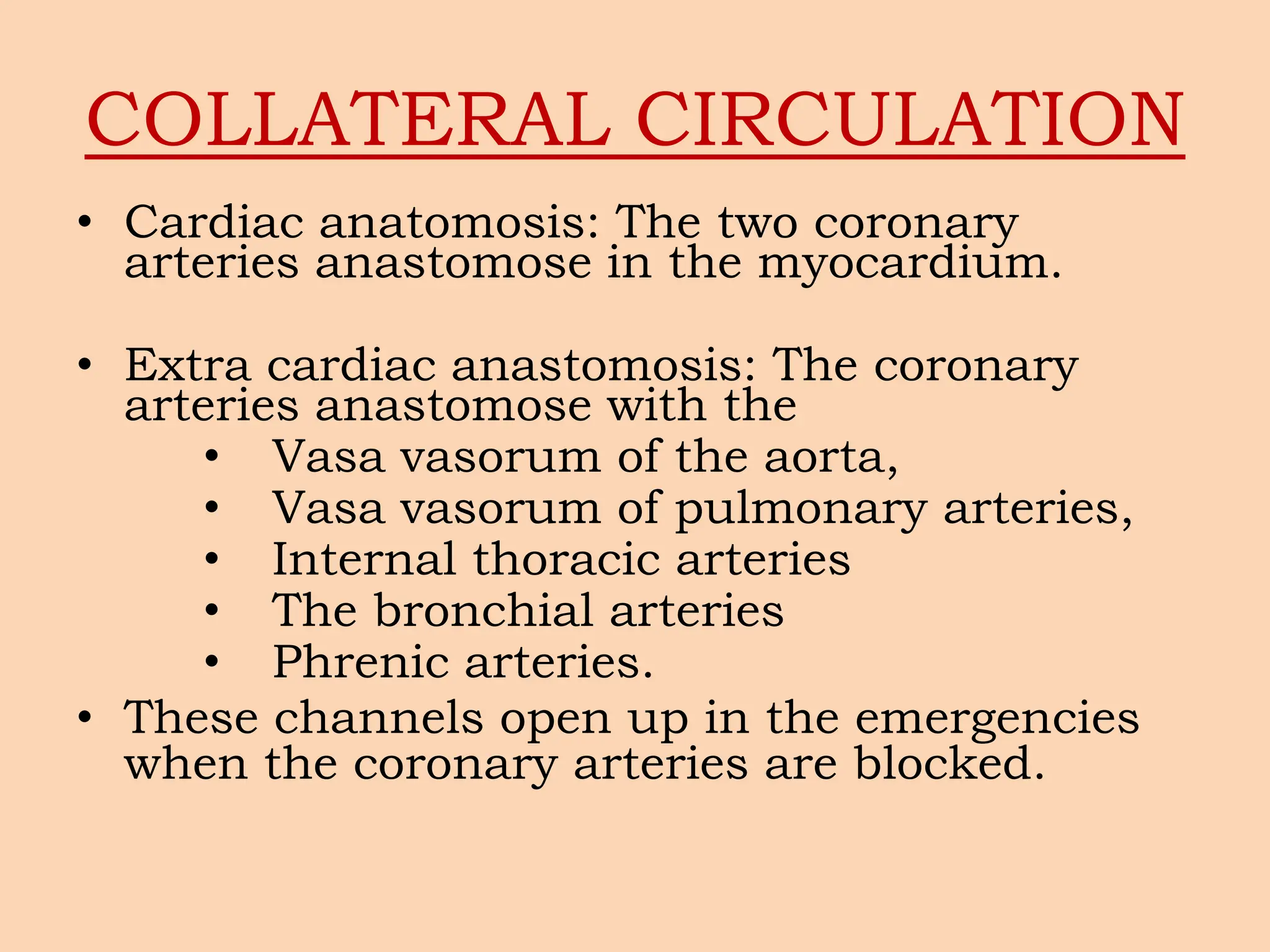 coronary circulation -1305080032111-phpappa02 pdf | PDF