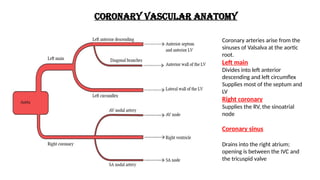 CORONARY CIRCULATION AND IT'S BLOOD SUPPLY. | PPTX