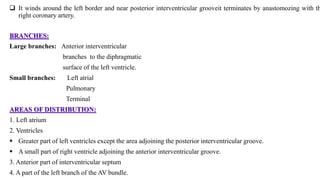 Coronary circulation | PPTX