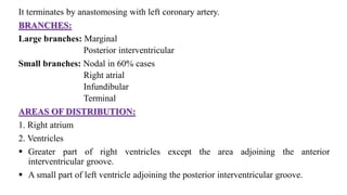Coronary circulation | PPTX