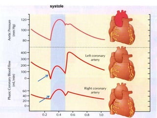 Coronary circulation..ppt
