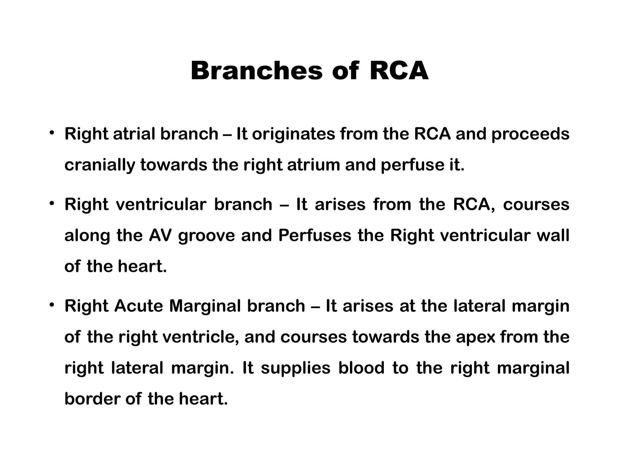Coronary circulation - LAD, LCX and RCA.pptx