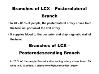 Coronary circulation - LAD, LCX and RCA.pptx