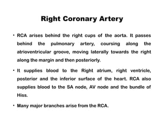 Coronary circulation - LAD, LCX and RCA.pptx