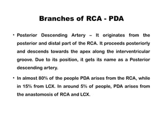 Coronary circulation - LAD, LCX and RCA.pptx