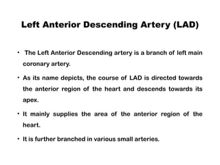 Coronary circulation - LAD, LCX and RCA.pptx
