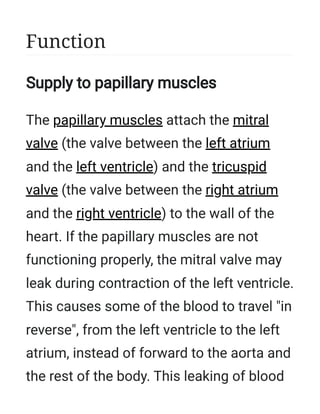 Coronary circulation - Wikipedia.pdf
