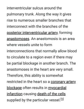 Coronary circulation - Wikipedia.pdf