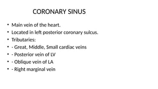 Coronary Circulation detailed general surgery | PPTX