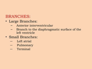 coronary circulation ppt bsc hsrg is dha | PPTX