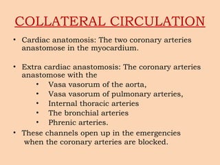 coronary circulation ppt bsc hsrg is dha | PPTX