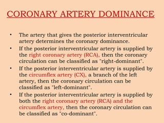 coronary circulation ppt bsc hsrg is dha | PPTX
