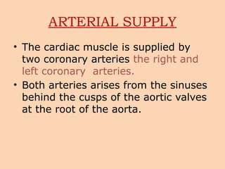 coronary circulation ppt bsc hsrg is dha | PPTX