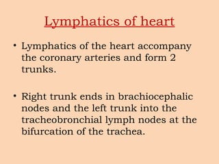 coronary circulation ppt bsc hsrg is dha | PPT