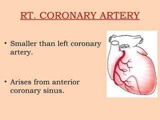 coronary circulation ppt bsc hsrg is dha | PPTX