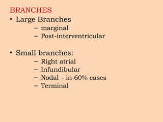coronary circulation ppt bsc hsrg is dha | PPT