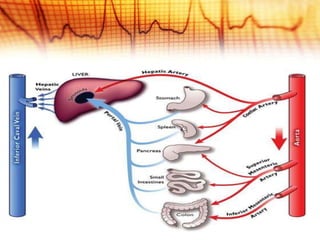 Coronary,Splanchnic,pulomonary, systemic & Cerebral Circulation | PPTX