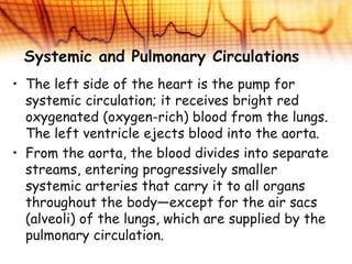 Coronary,Splanchnic,pulomonary, systemic & Cerebral Circulation | PPTX