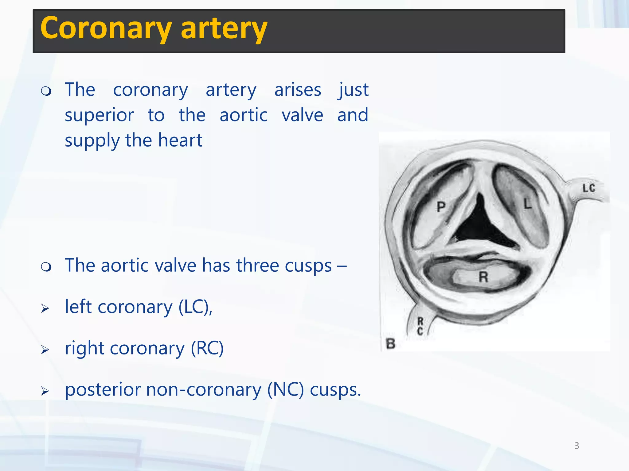 coronary class.pptx