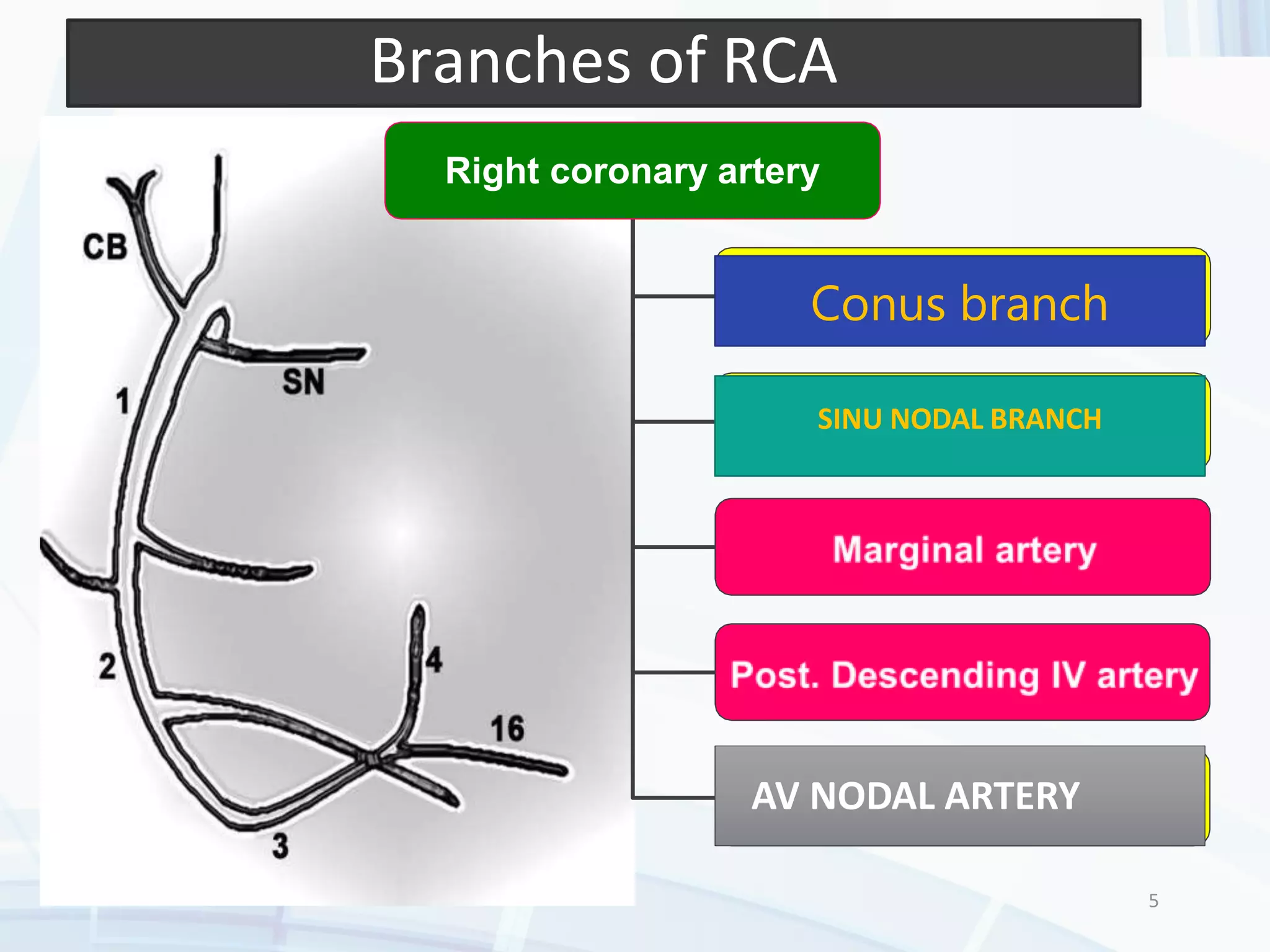 coronary class.pptx