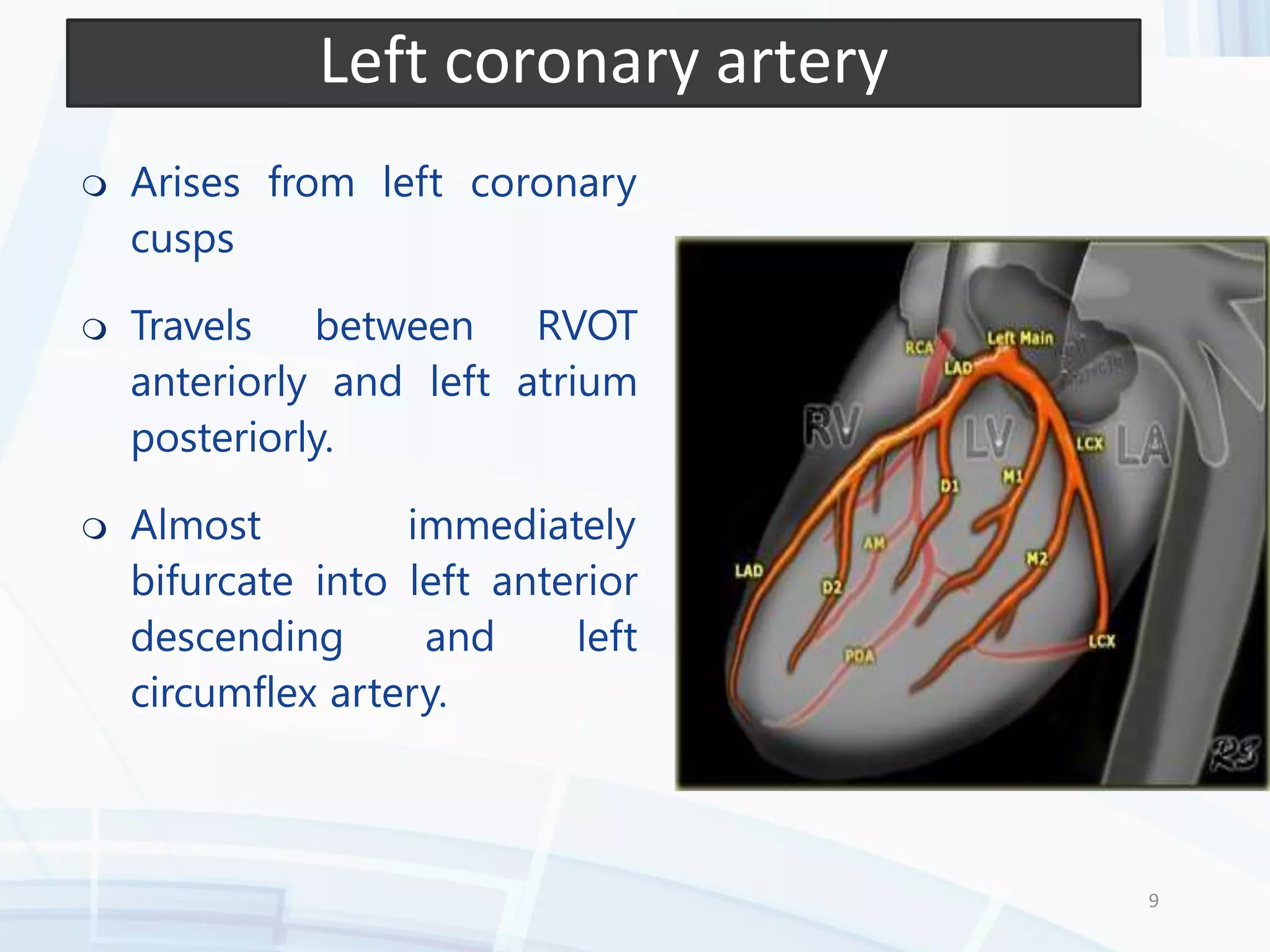 coronary class.pptx