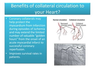 COLLATERAL ARTERIES | PPTX