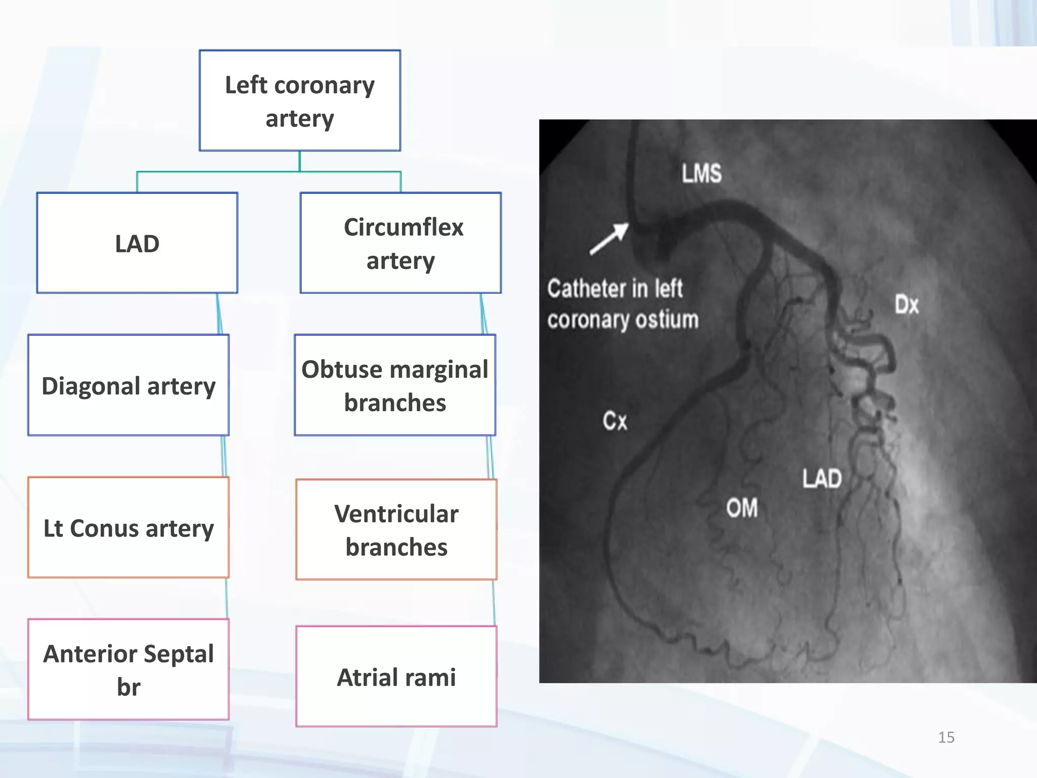 Coronary CT | PPTX