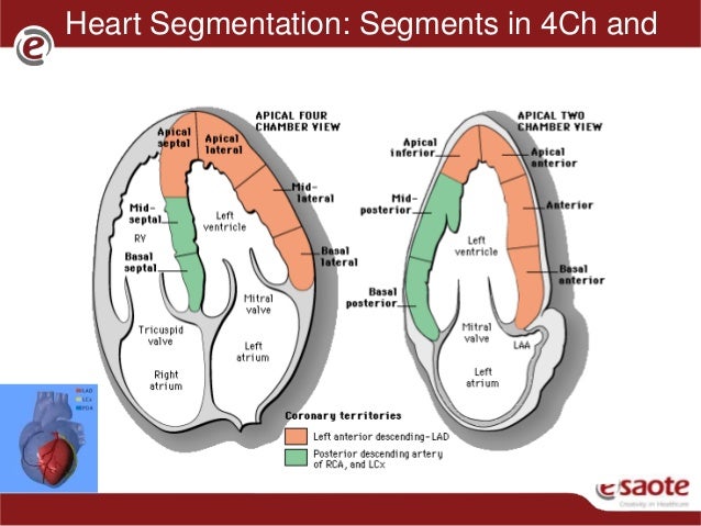 Coronary flow imaging