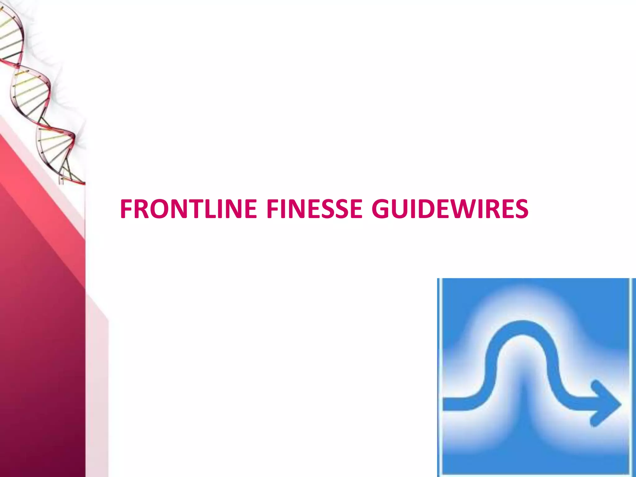 Coronary guidewires RIKESH(ppt03).ppt