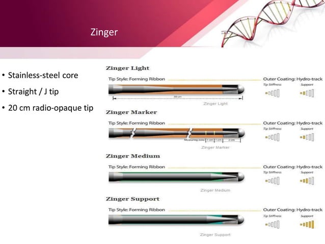 Coronary guidewires RIKESH(ppt03).ppt | Science