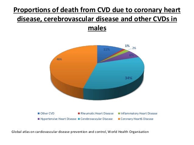 Cardiovascular Disease Epidemiology – LZRNN