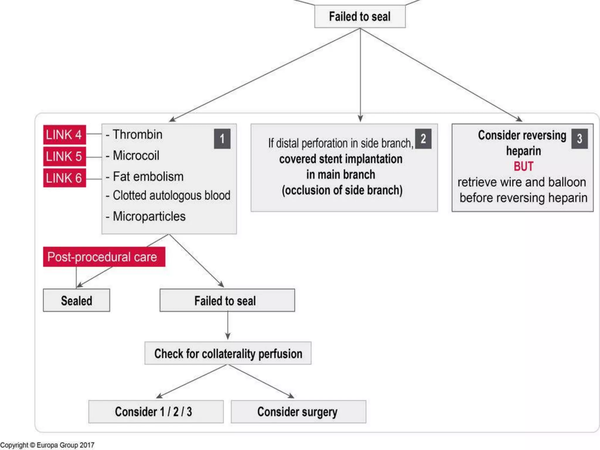 CORONARY PERFORATION ABHISHEK1.pptx | First Aid | Injuries