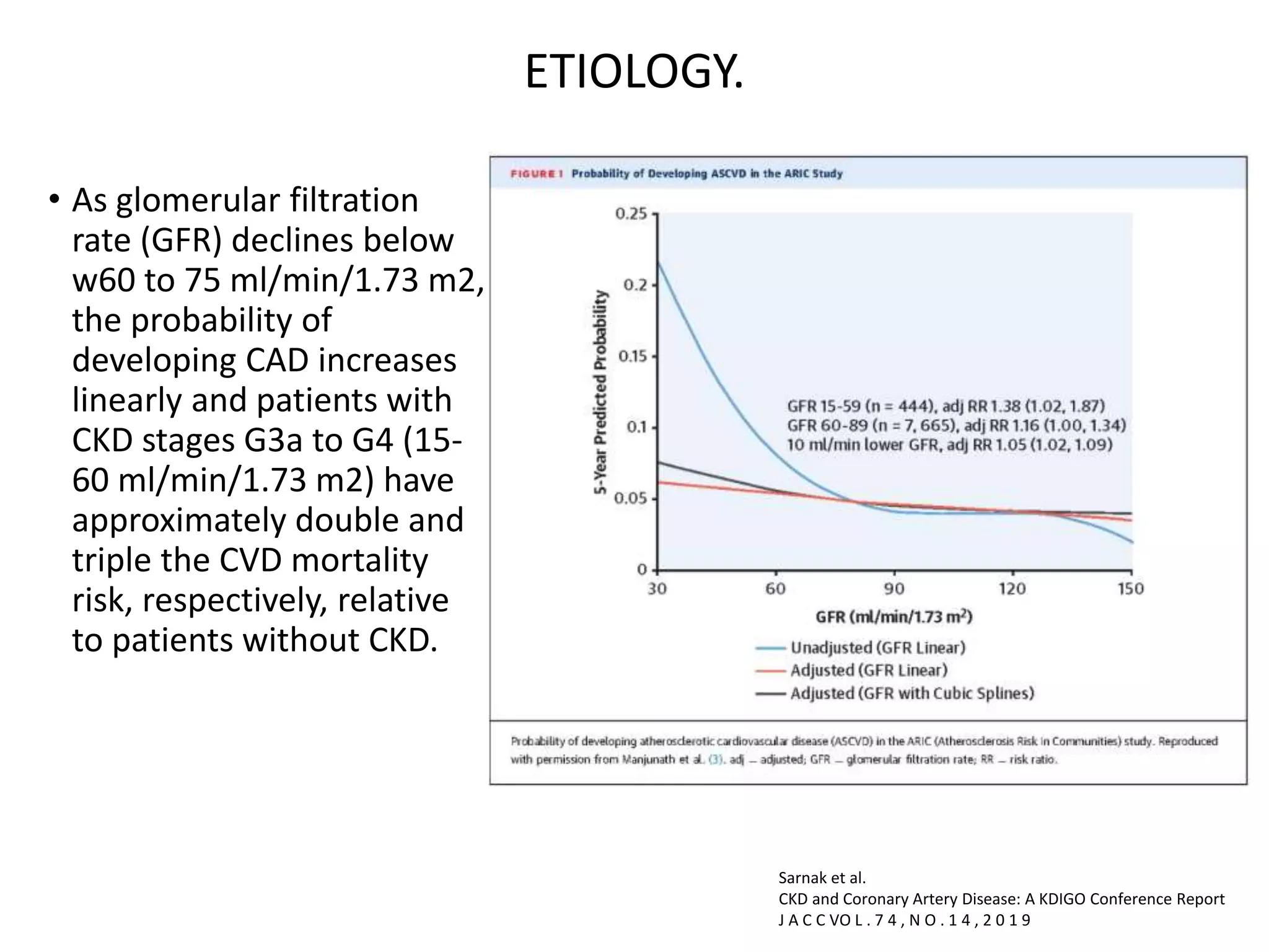 Coronary Revascularization in Chronic Kidney Disease Patient.pptx