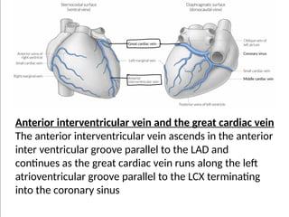 Journal - Anatomy of the coronary sinus.pptx